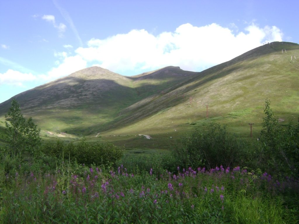 FREE Guided Hike on Thursday, July 4th! – Arctic Valley Ski Area